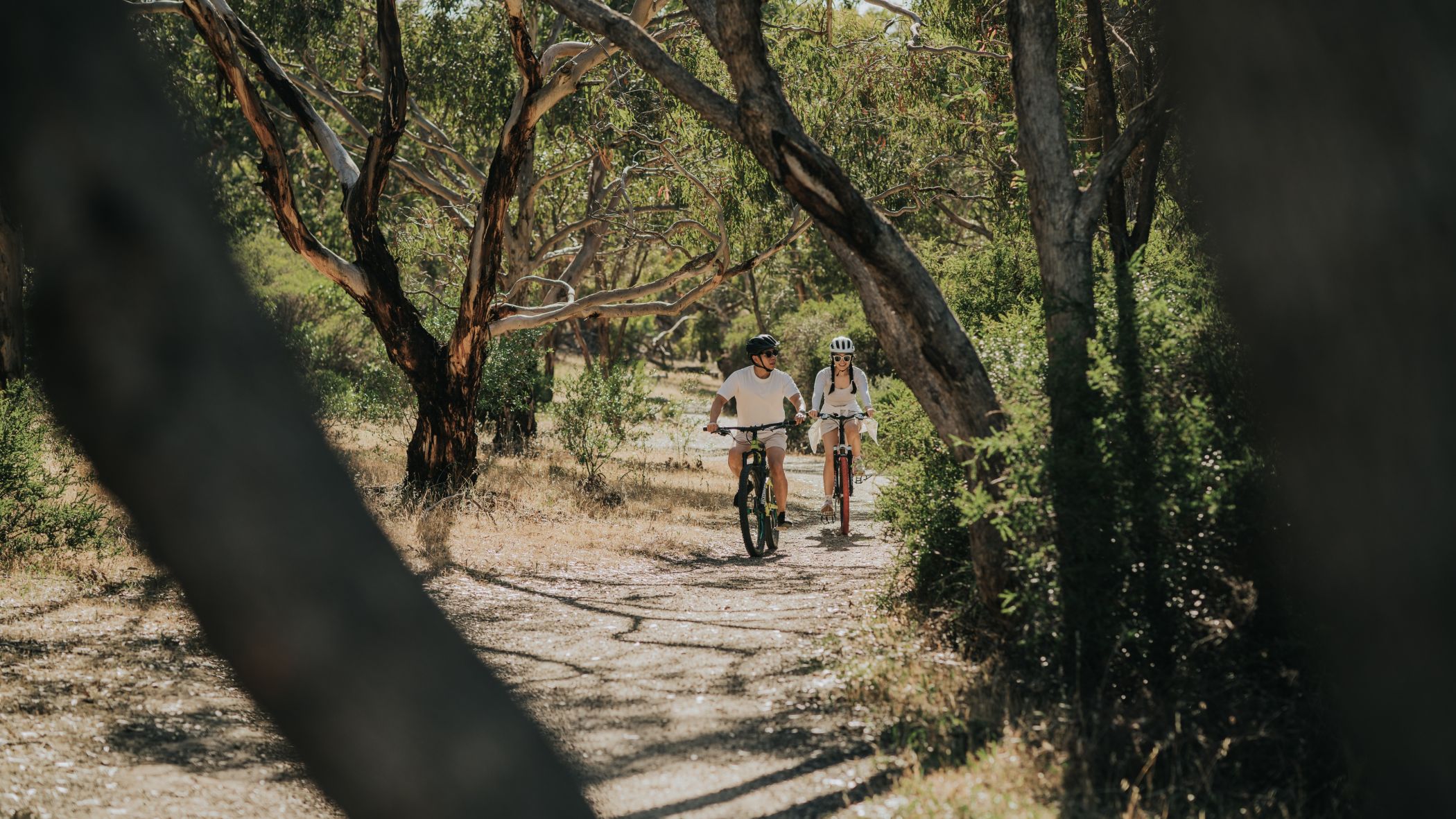 Renewal SA - Noarlunga | Homepage